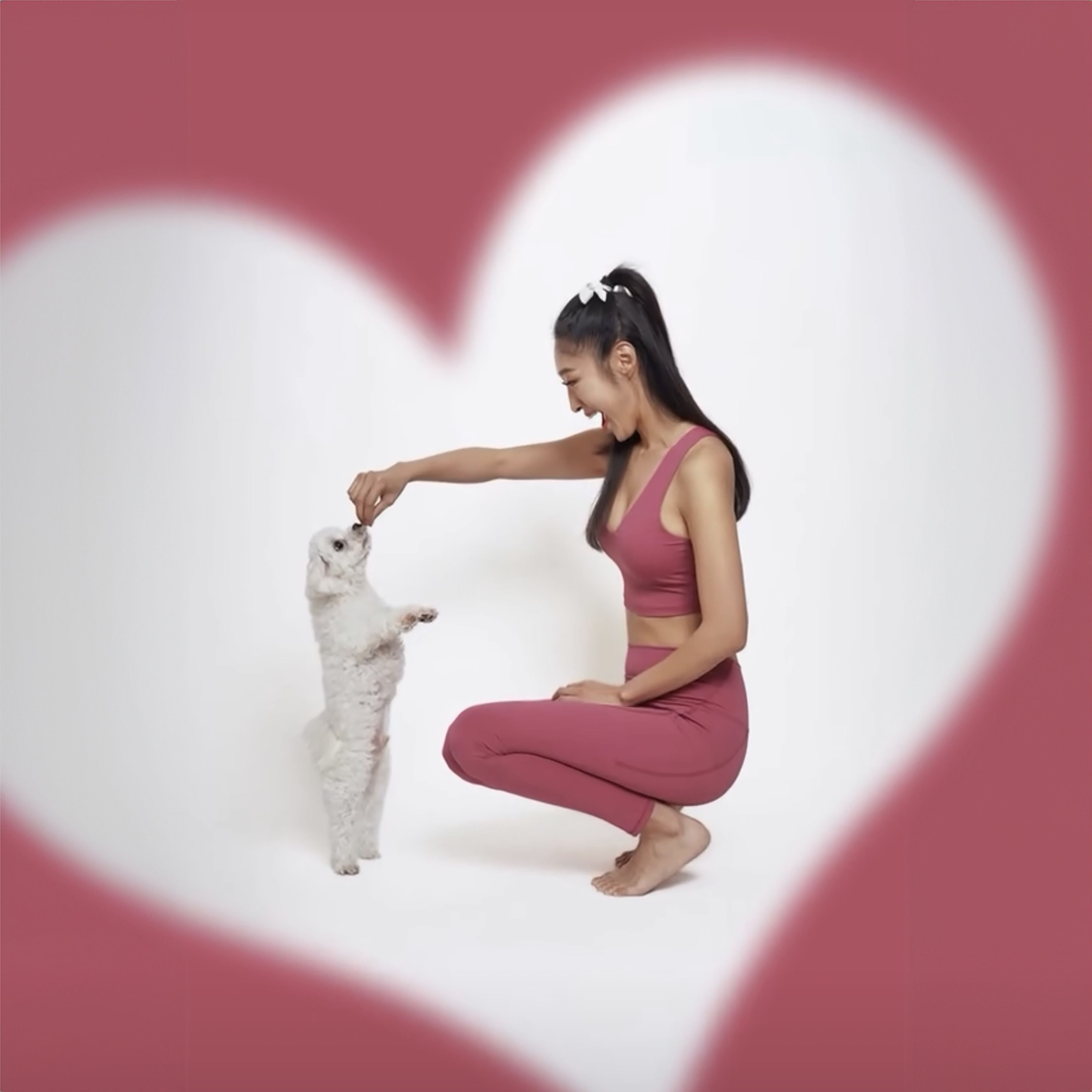 PET HAIR RESISTANT ACTIVEWEAR COLLECTION – VESPR ACTIVE